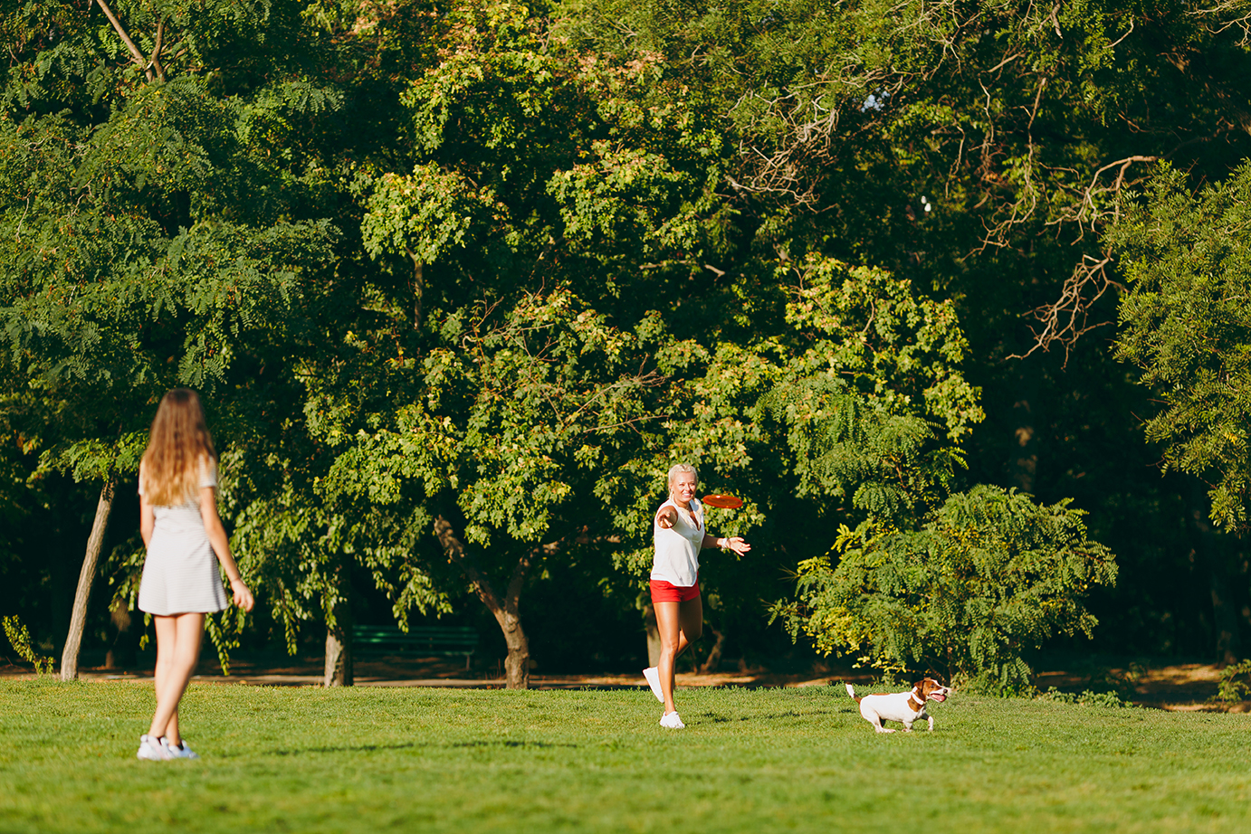 Todos los beneficios de jugar con tu perro - Grupo Yagu